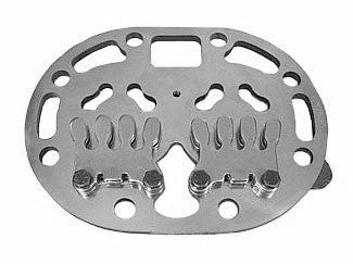 06EA660137 Valve Plate Package, Carrier Carlyle | Industrial Spare Parts